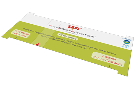 SEFI - - (EAN13 : 9791096305193) | Librairie K'Noë